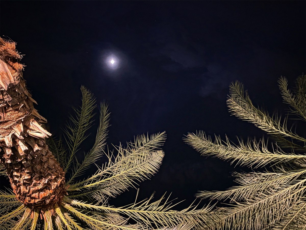 Howling Words – this is your life chuck johnson