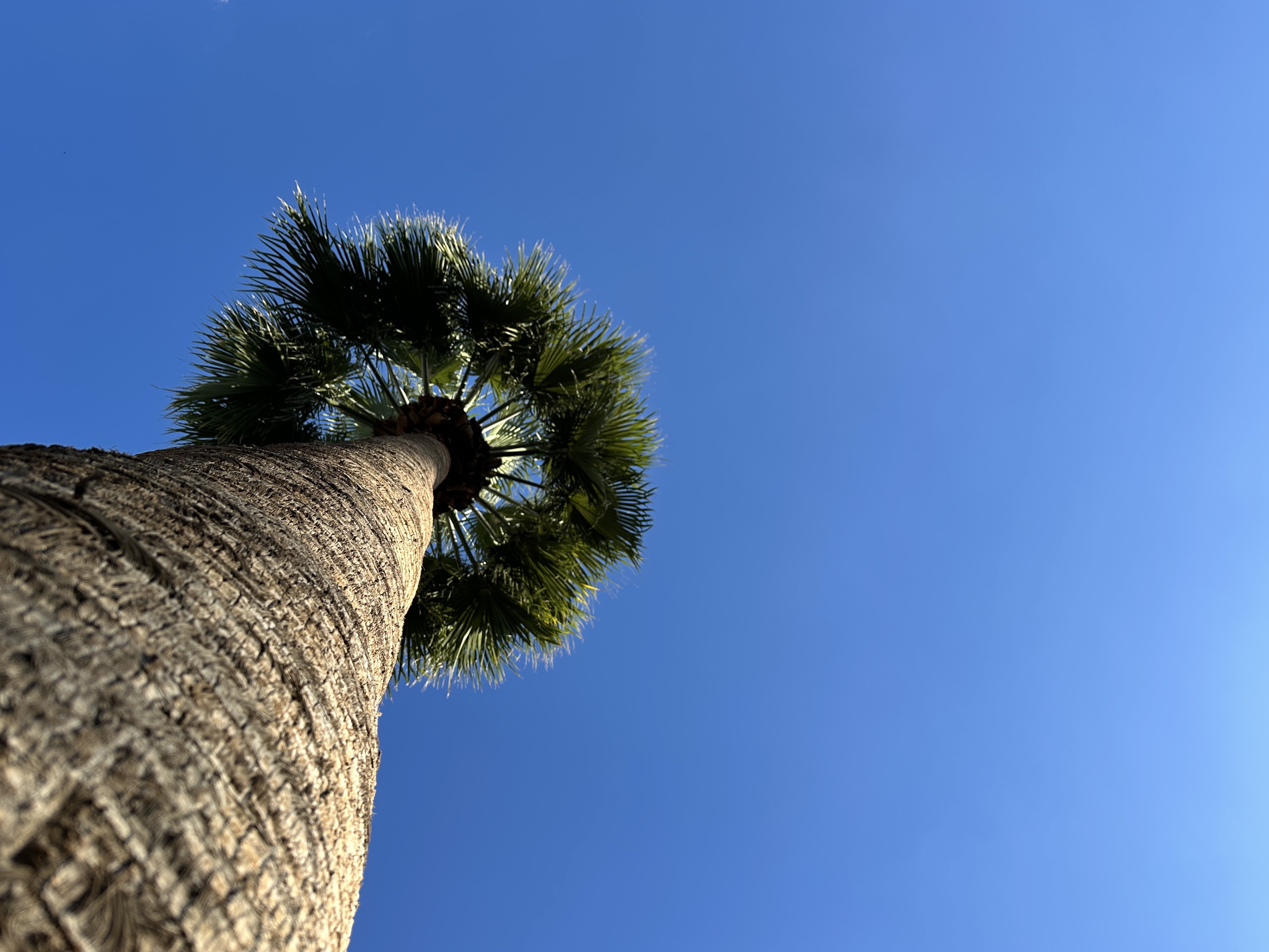 Dance This Way – this is your life chuck johnson