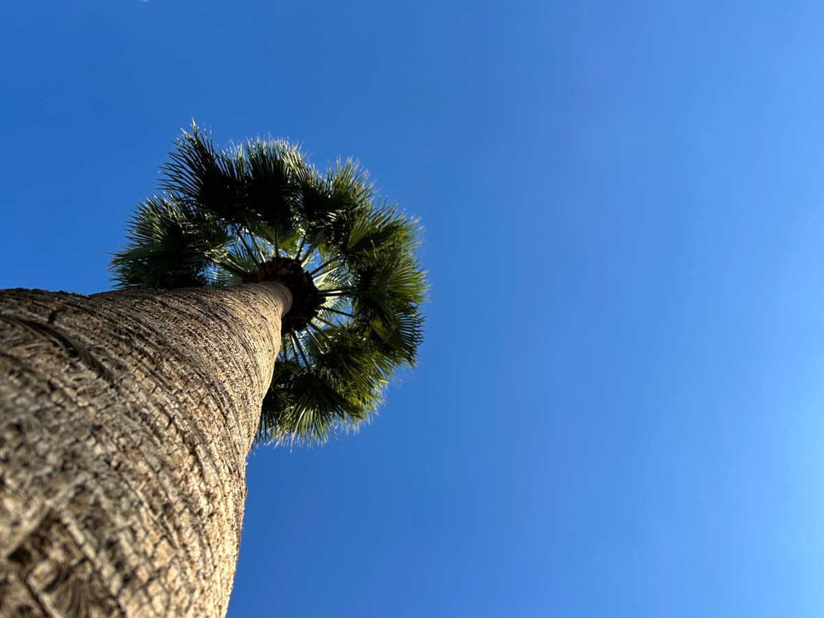 Dance This Way – this is your life chuck johnson