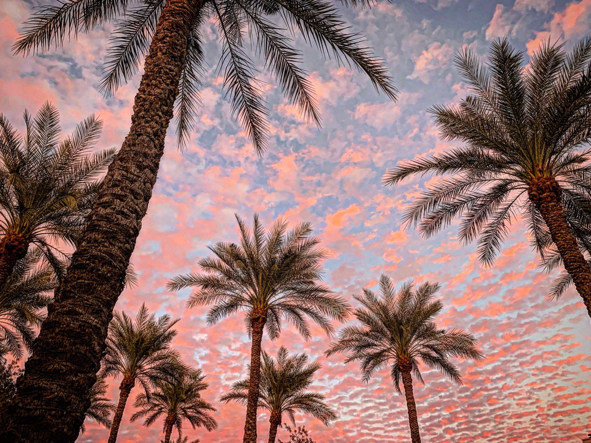 Sunrise Battery – this is your life chuck johnson